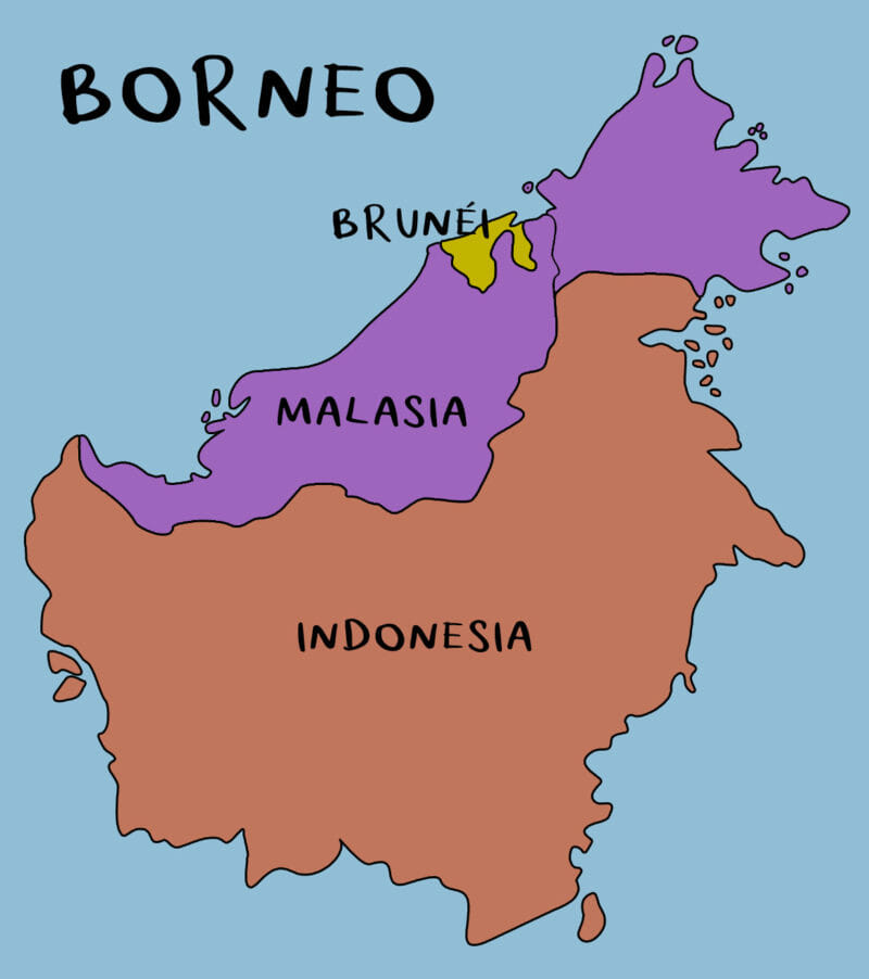 Experiencia con Orangutanes en Borneo - El mundo es un viaje